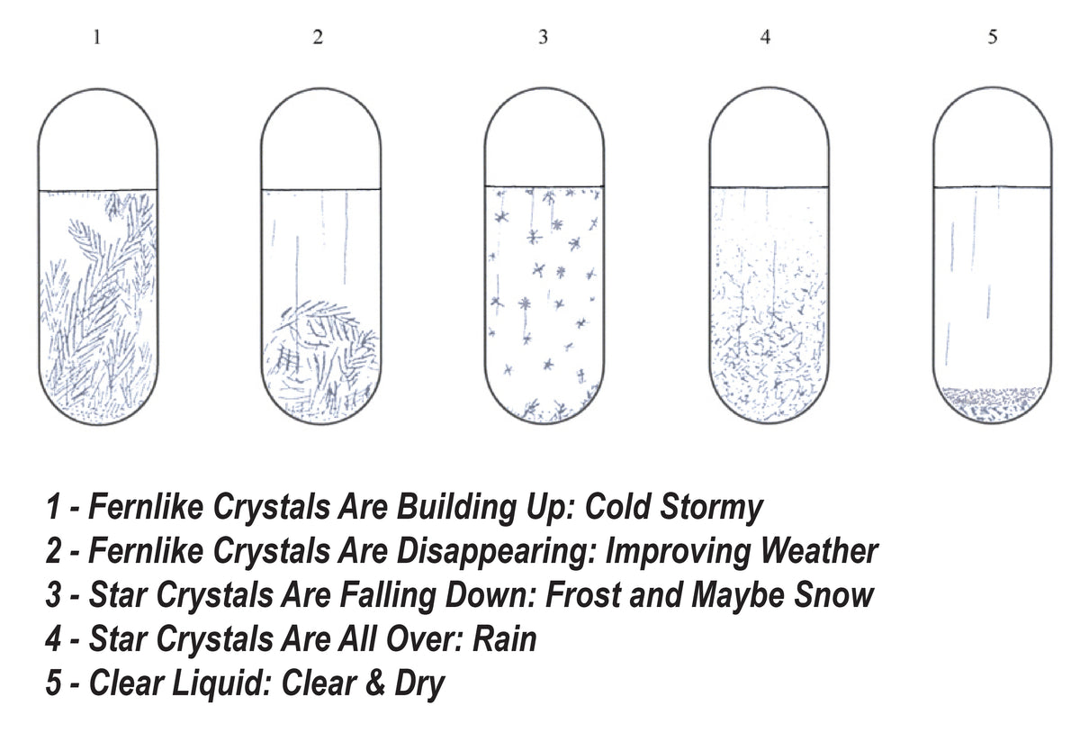 6" Fitzroy Storm Glass – ZoCo LLC